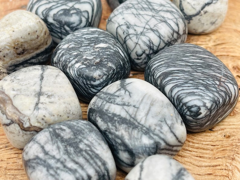 Spiderweb Jasper Tumbled Stone Black Spider Web Jasper Network Jasper ...