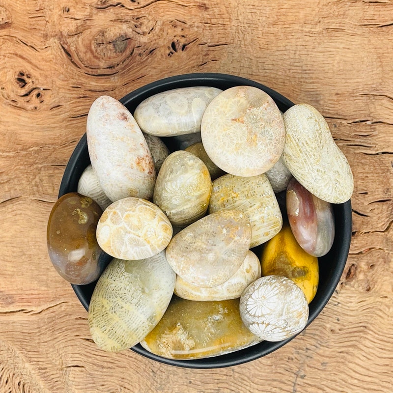 Fossil Stone - Etsy