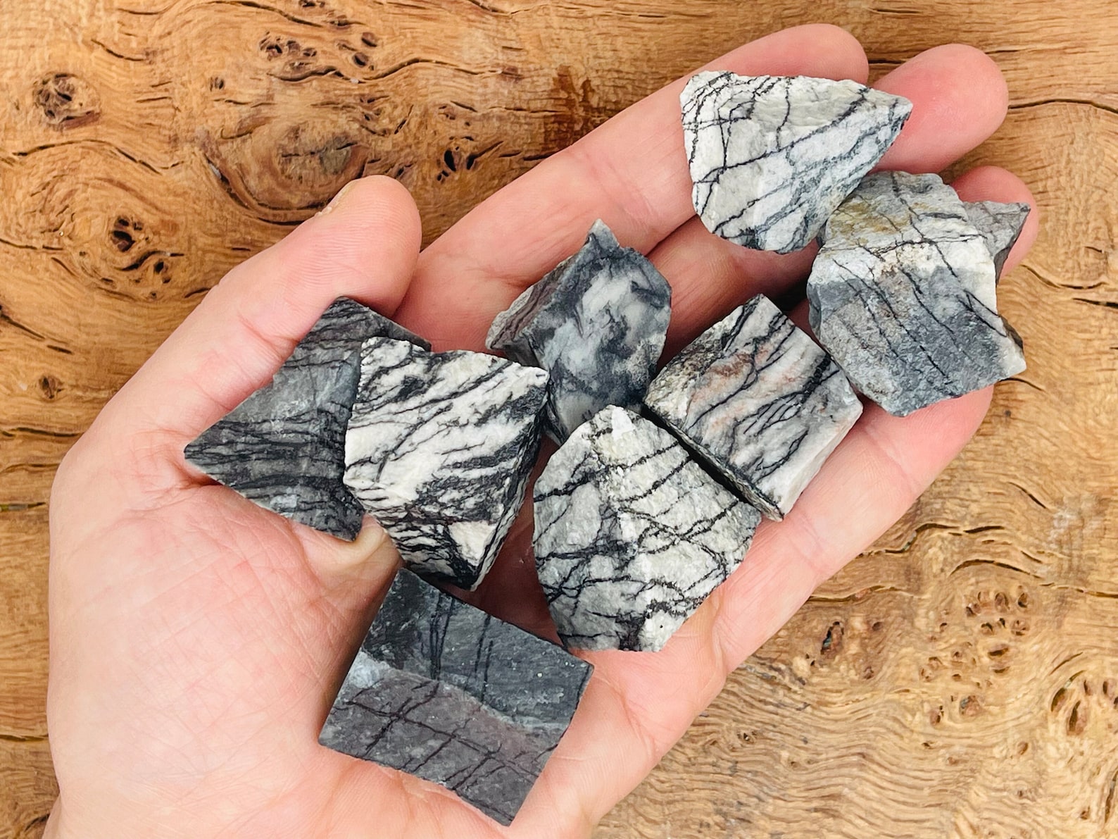 Spiderweb Jasper Rough Stone - Raw Black Spider Web Jasper - Picasso ...
