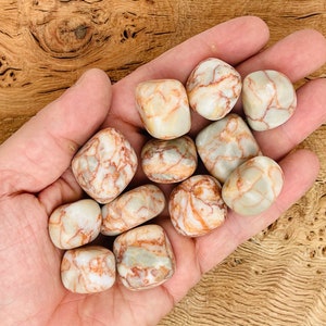 Red Vein Jasper Tumbled Stone - Red Network Jasper Stone - Charm ...