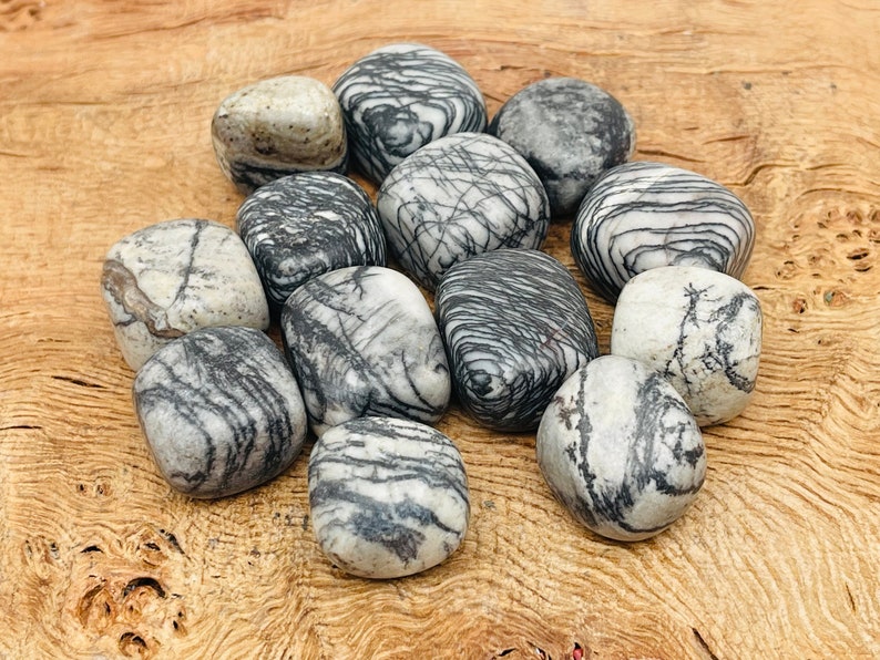 Spiderweb Jasper Tumbled Stone Black Spider Web Jasper Network Jasper ...