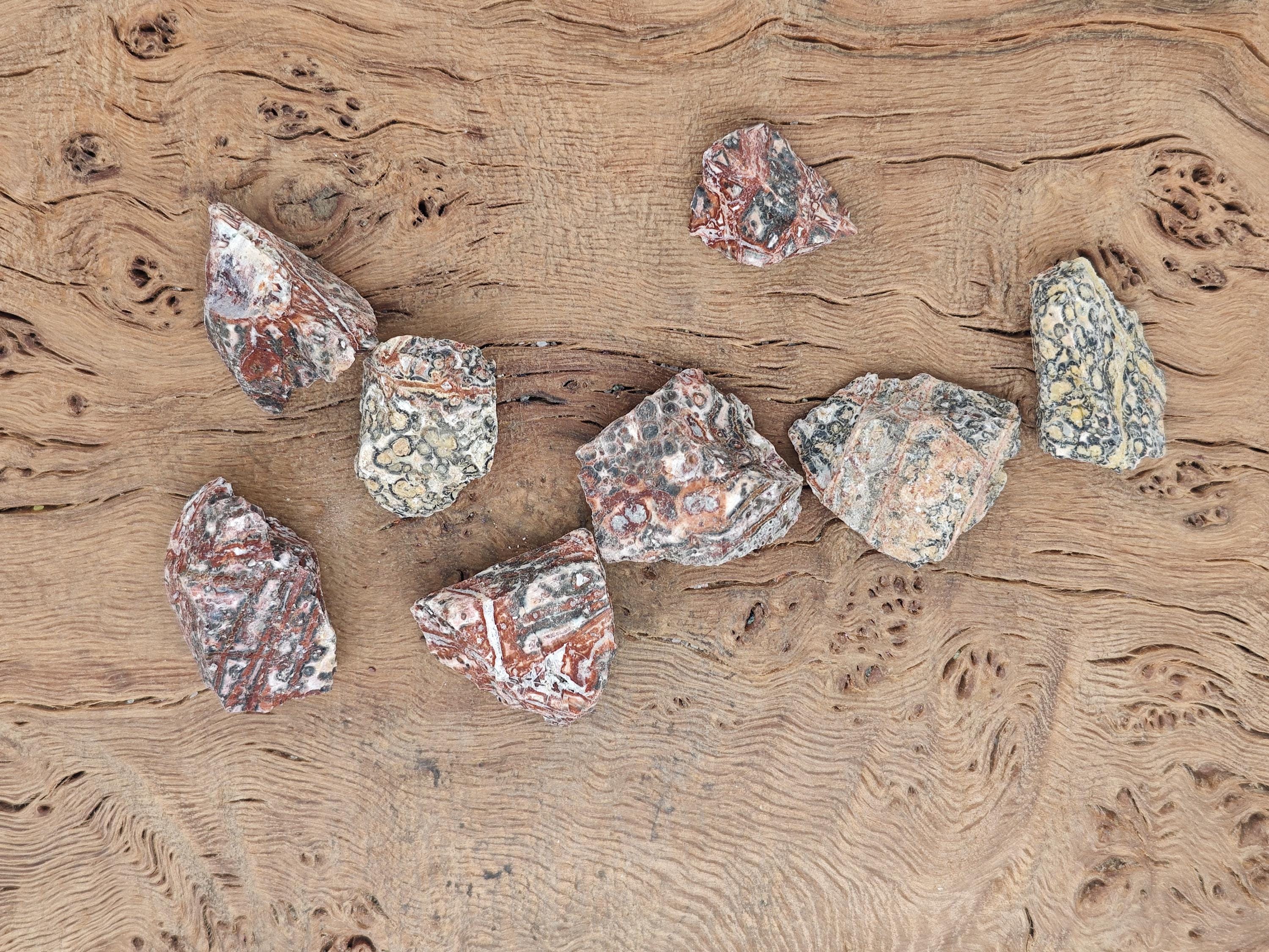 Leopard Skin Jasper Rough Stone - Raw Crystal - Leopardite Jasper ...