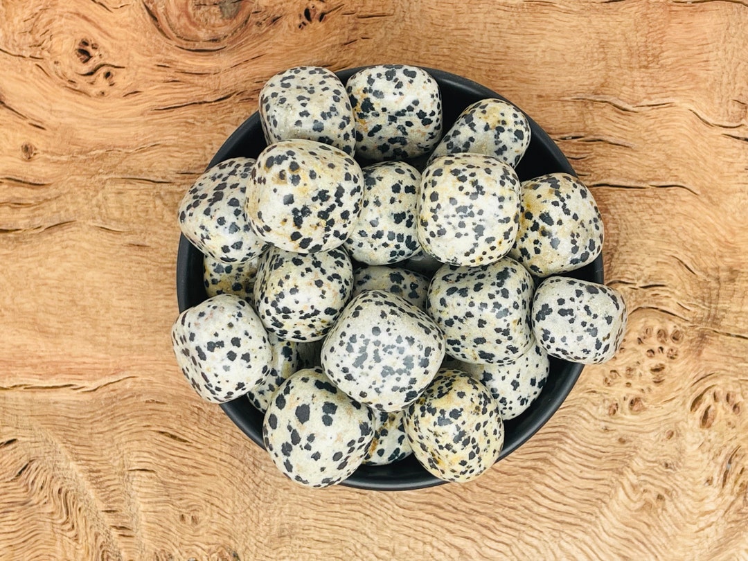 Dalmatian Jasper Tumbled Stone - Natural Dalmatian Crystal - A Grade ...