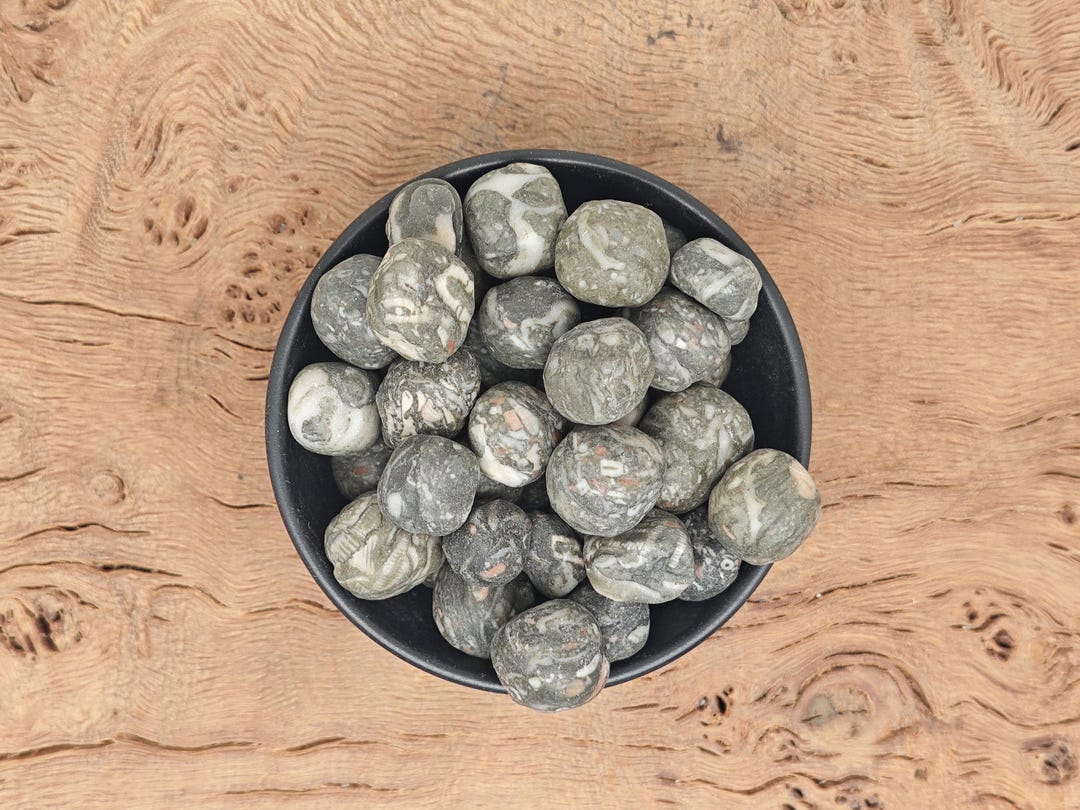Crinoid Fossil Tumbled Stone - Collectors Crystals - Smooth Pebble ...