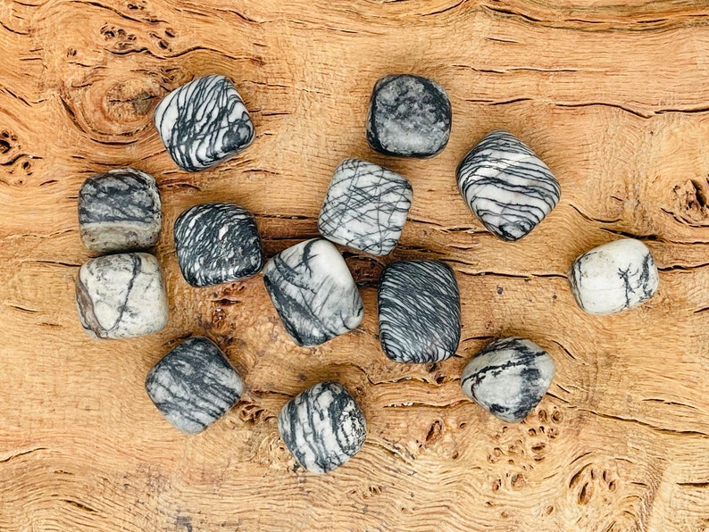 Spiderweb Jasper Tumbled Stone Black Spider Web Jasper Network Jasper ...