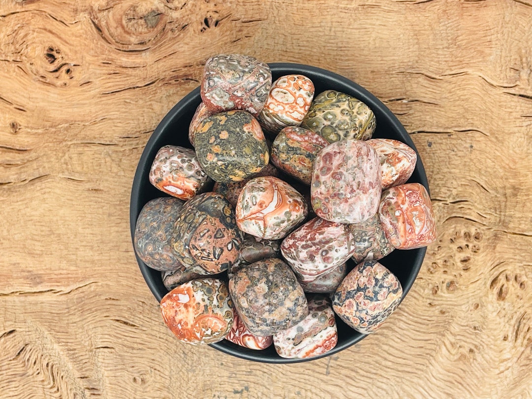 Leopard Skin Jasper Tumbled Stone - Tumbled Stones - Gifts - Spotted ...