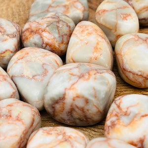 Red Vein Jasper Tumbled Stone - Red Network Jasper Stone - Charm ...
