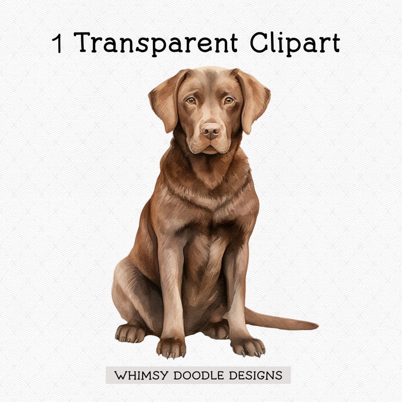 Chocolate Labrador Retriever Illustration, Cute Dog Clipart, Puppy ...