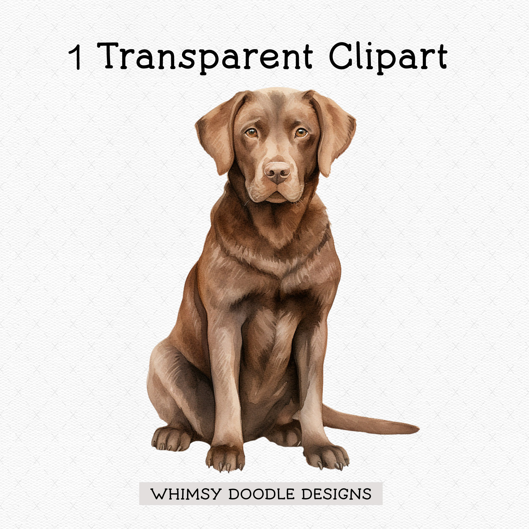 Chocolate Labrador Retriever Illustration, Cute Dog Clipart, Puppy ...