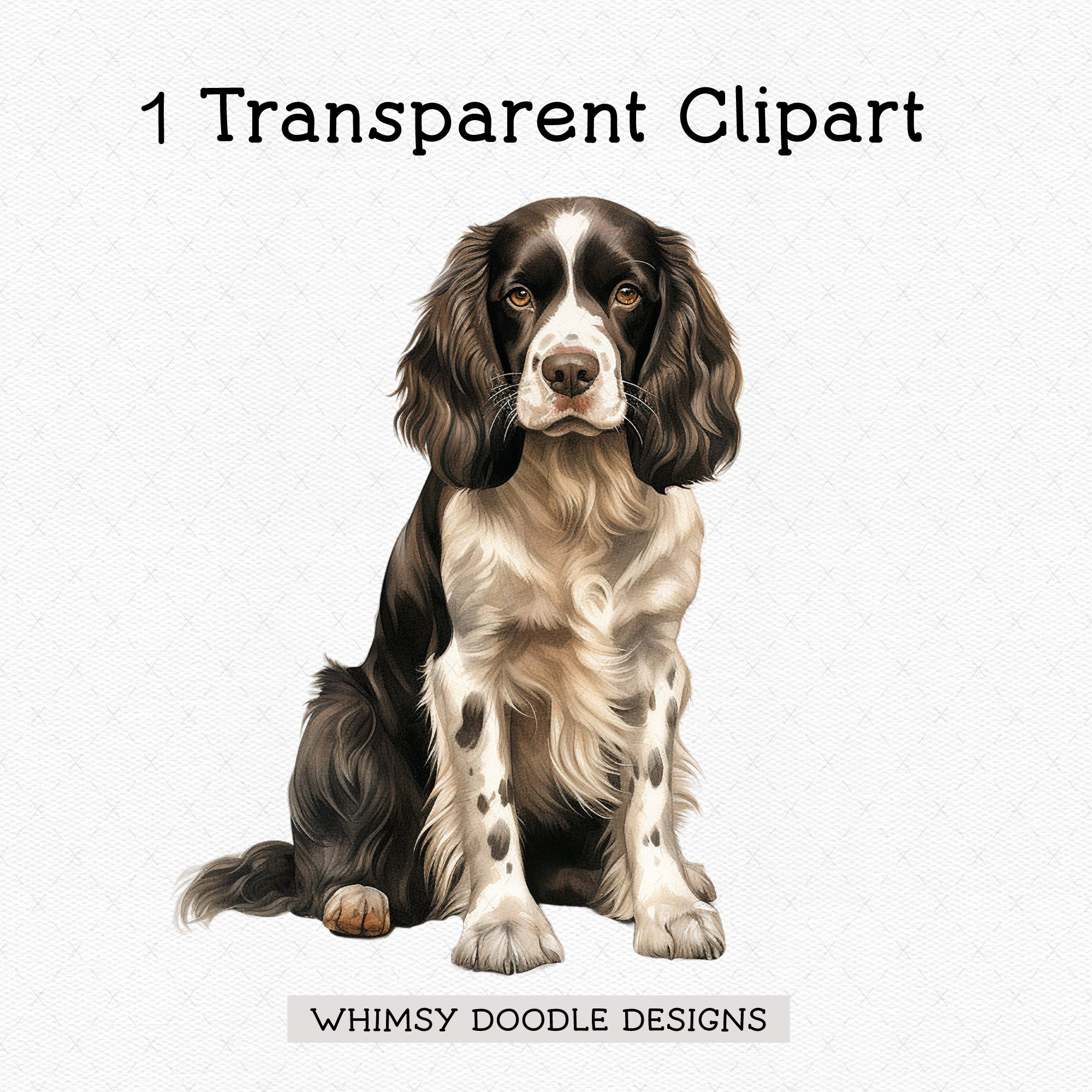 Watercolor Black and White English Springer Spaniel Clipart, Pet ...