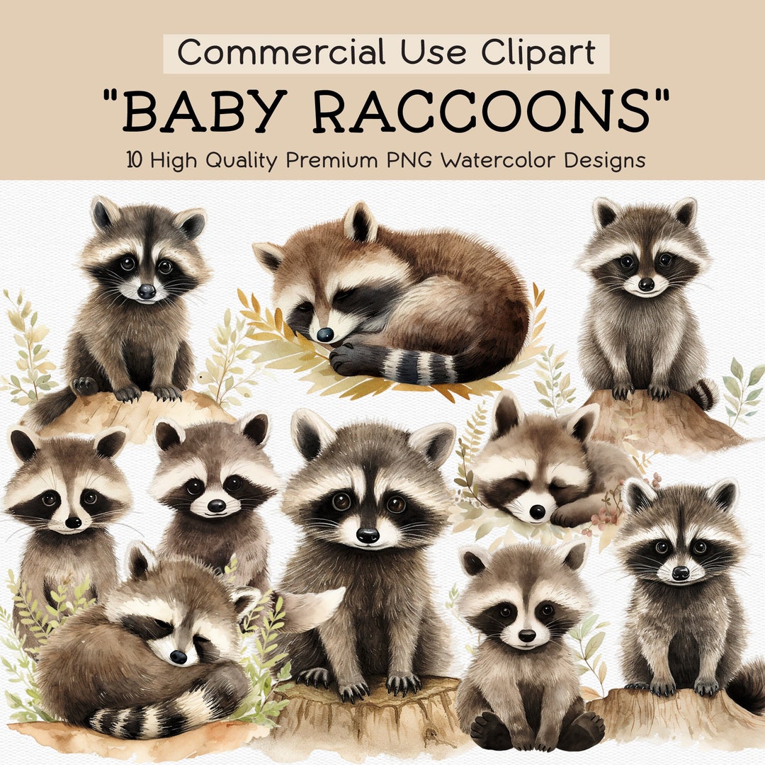 Watercolor Raccoon Clipart, Cute Forest Animal Illustrations, Digital ...