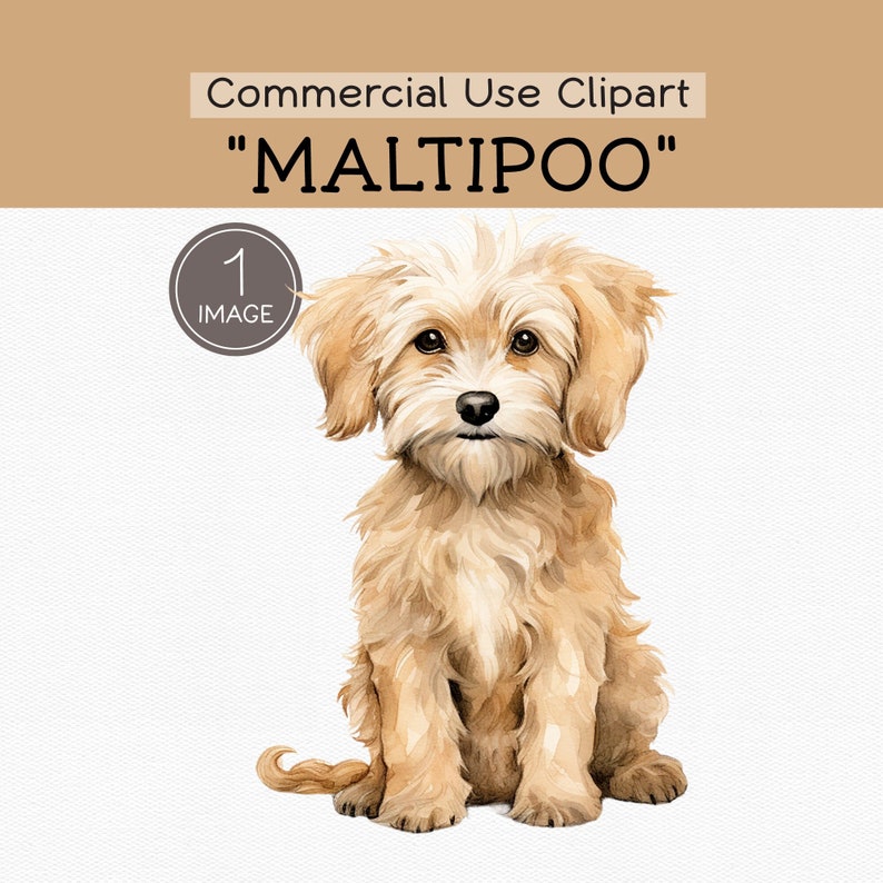 Adorable Maltipoo Puppy Clipart, Cute Dog Digital Download, Pet ...