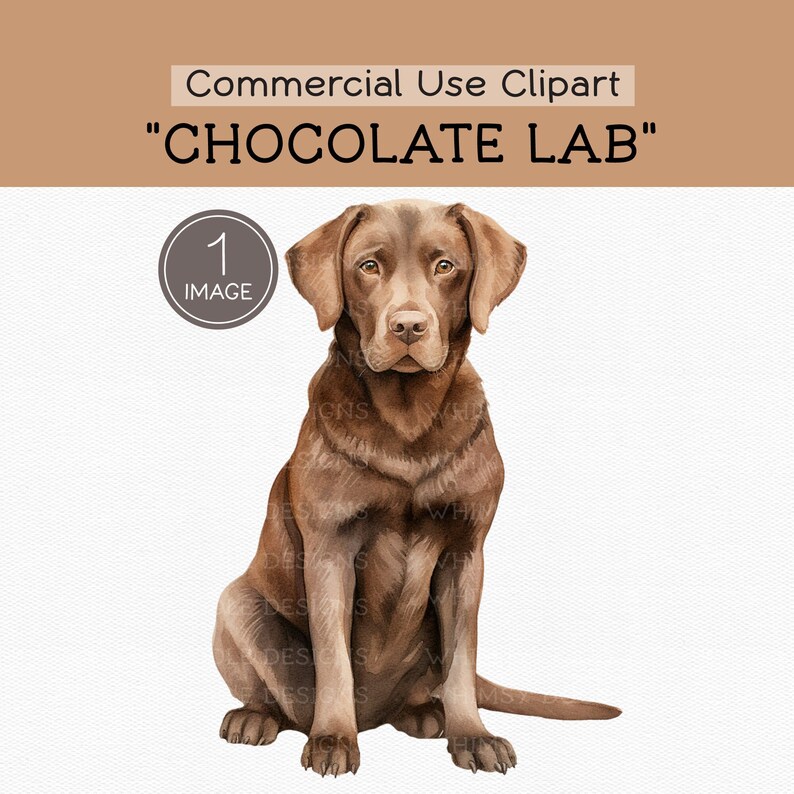 Chocolate Labrador Retriever Illustration, Cute Dog Clipart, Puppy ...
