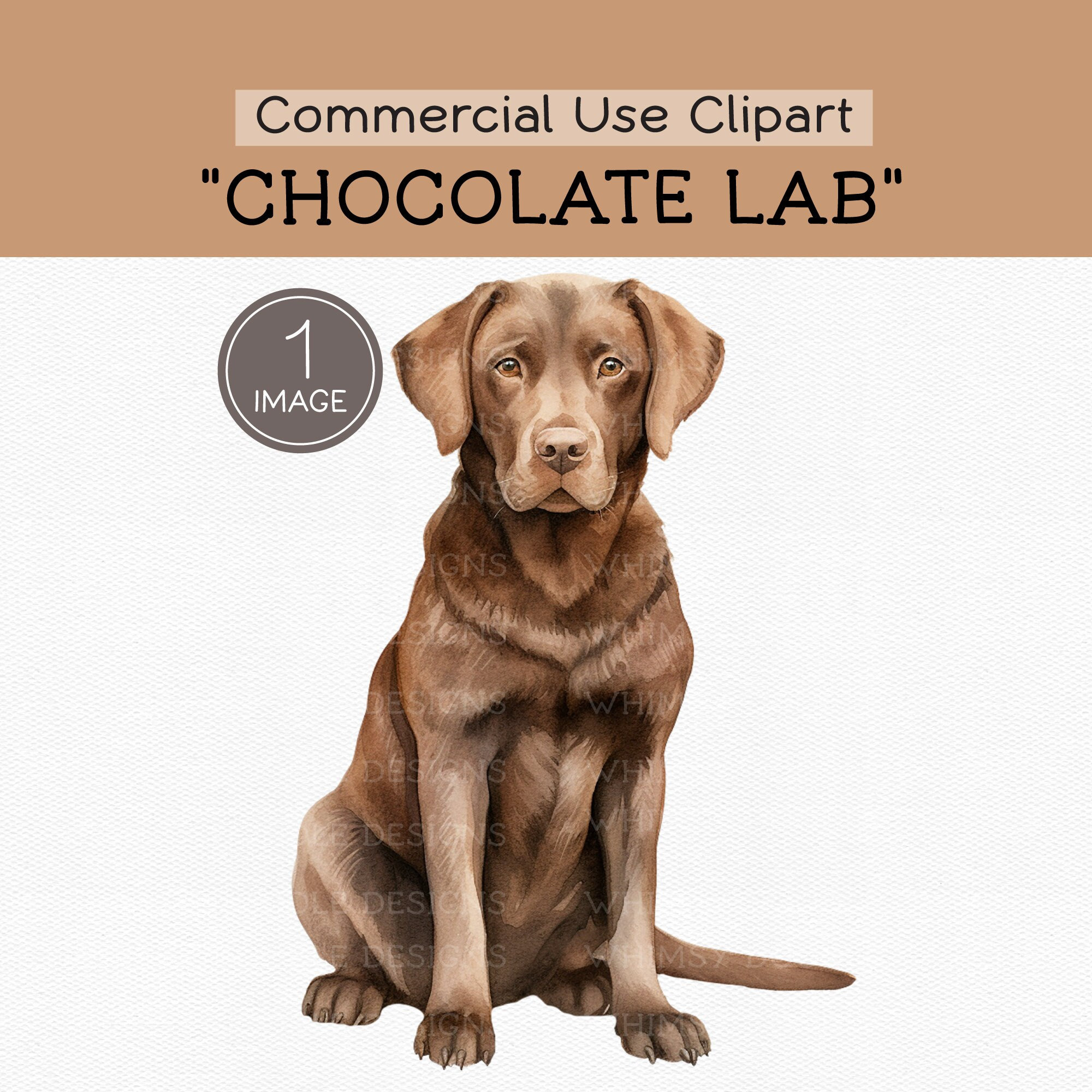 Chocolate Labrador Retriever Illustration, Cute Dog Clipart, Puppy ...