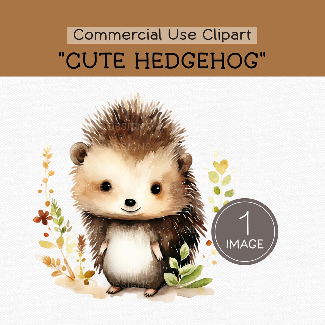 Watercolor Hedgehog Clipart, Cute Forest Animal Illustration, Printable ...