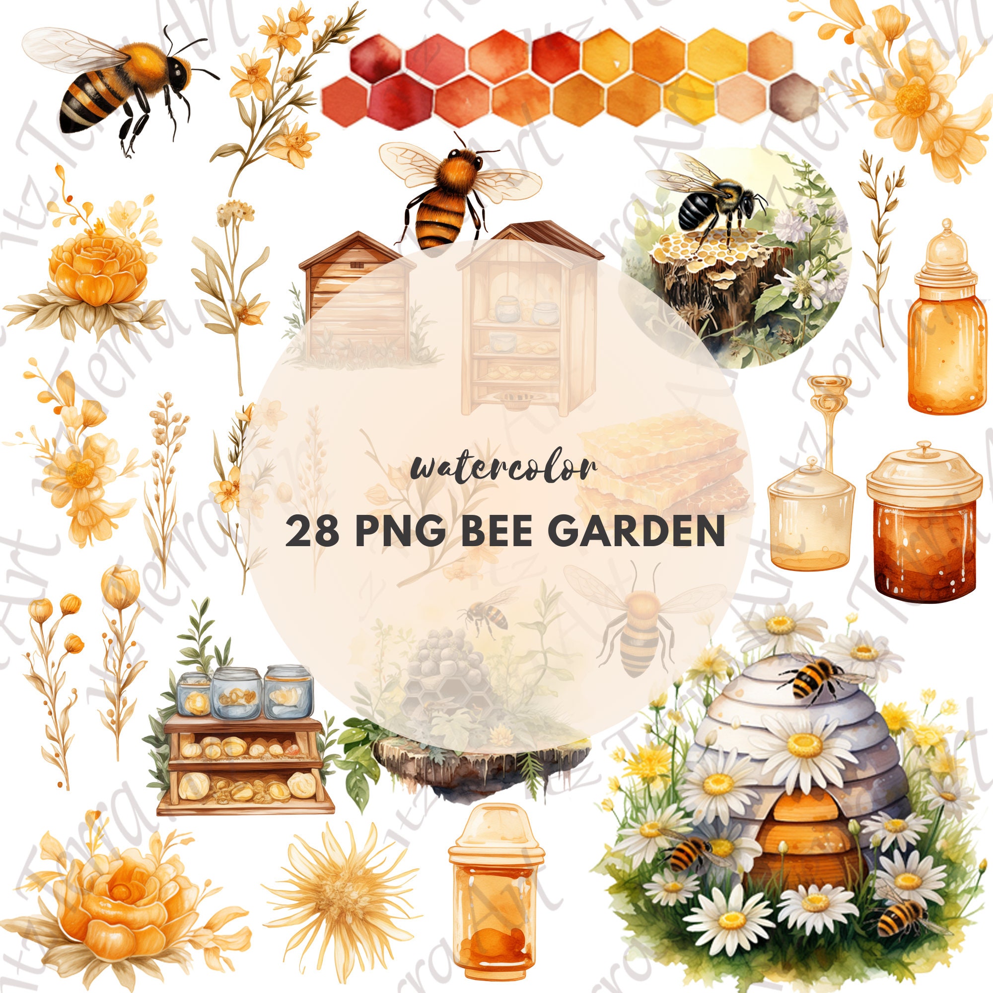 Watercolor Bee Clipart Bundle-bee Art Set Spring Garden Graphics Sets ...