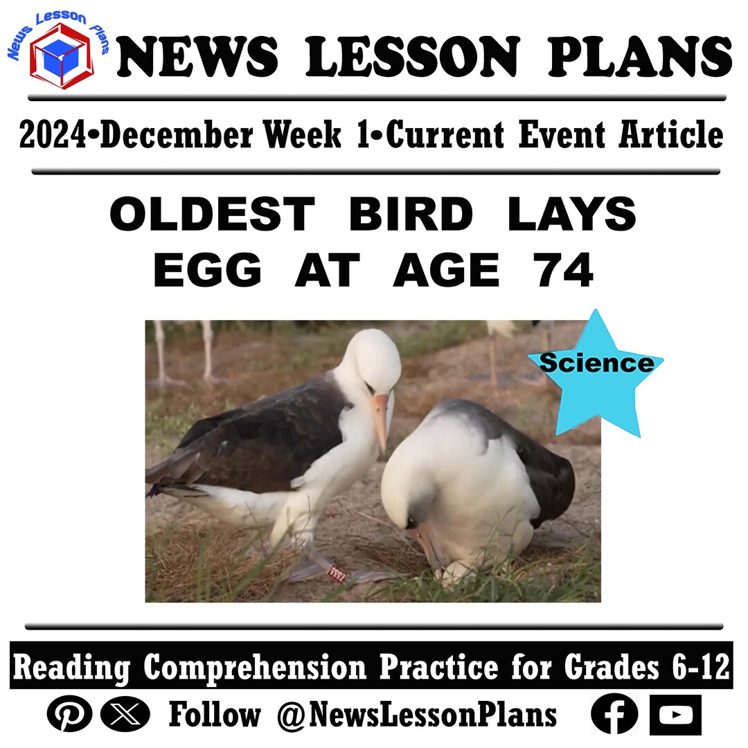 PDF Lesson Plan for Reading Comprehension Practice_oldest Bird Lays Egg ...
