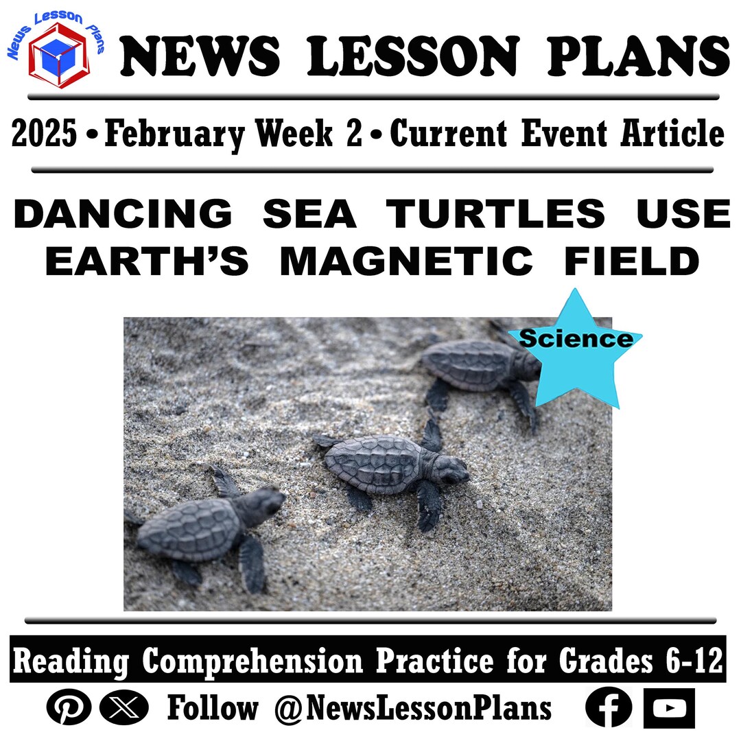 PDF Lesson Plan for Reading Comprehension Practice_dancing Sea Turtles ...