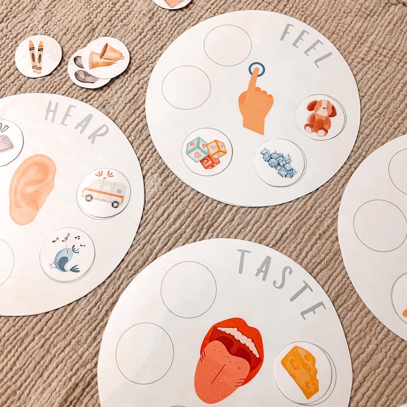 Five Senses Sorting Activity: Homeschool Resource for Toddlers (digital ...