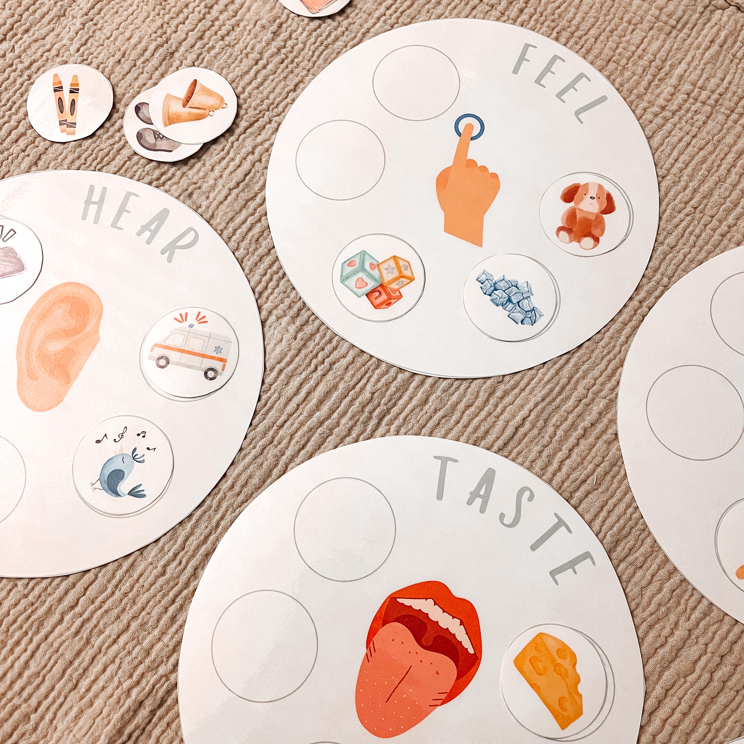 Five Senses Learning Activity for Toddlers, 5 Senses Sorting ...