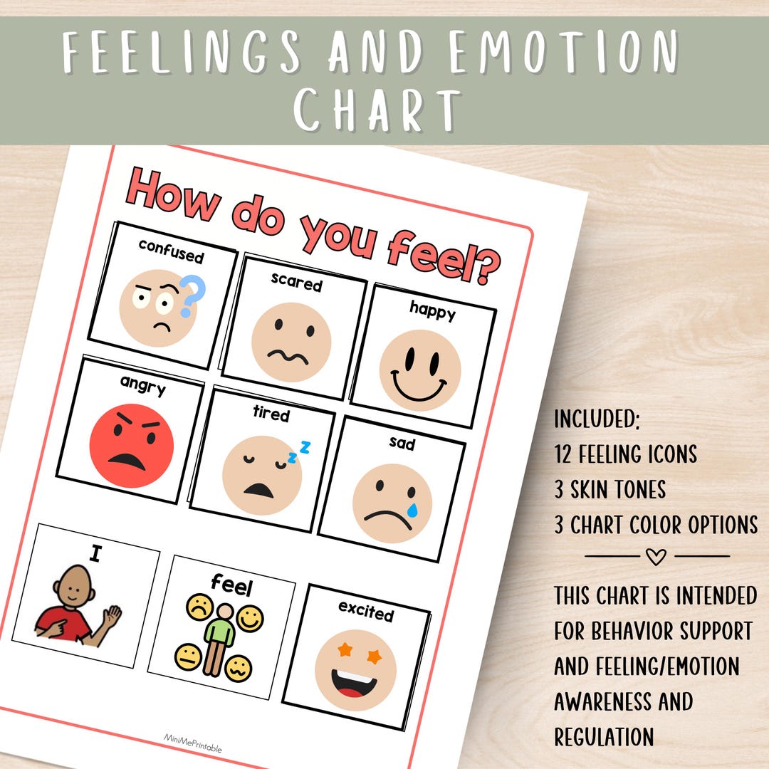 Visual Communication Feelings and Emotion Chart, Visual Cue Cards ...