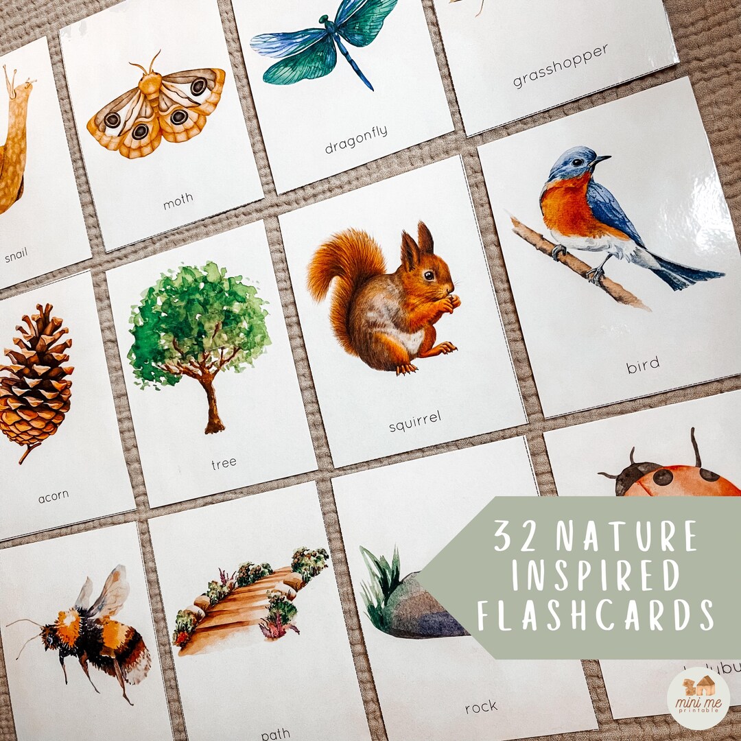 32 Nature Outdoors Inspired Flashcards, Montessori Printable ...
