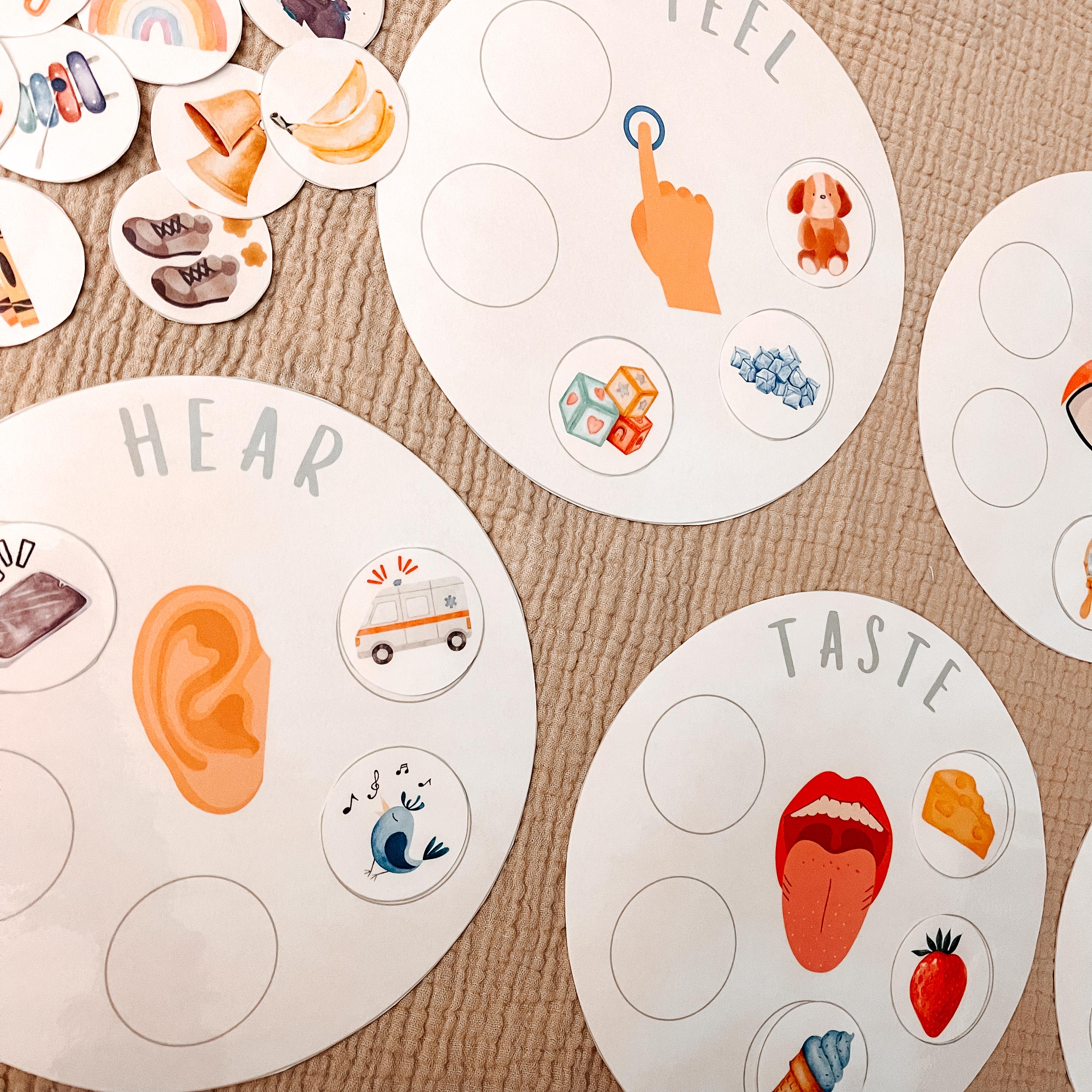 Five Senses Sorting Activity: Homeschool Resource for Toddlers (digital ...