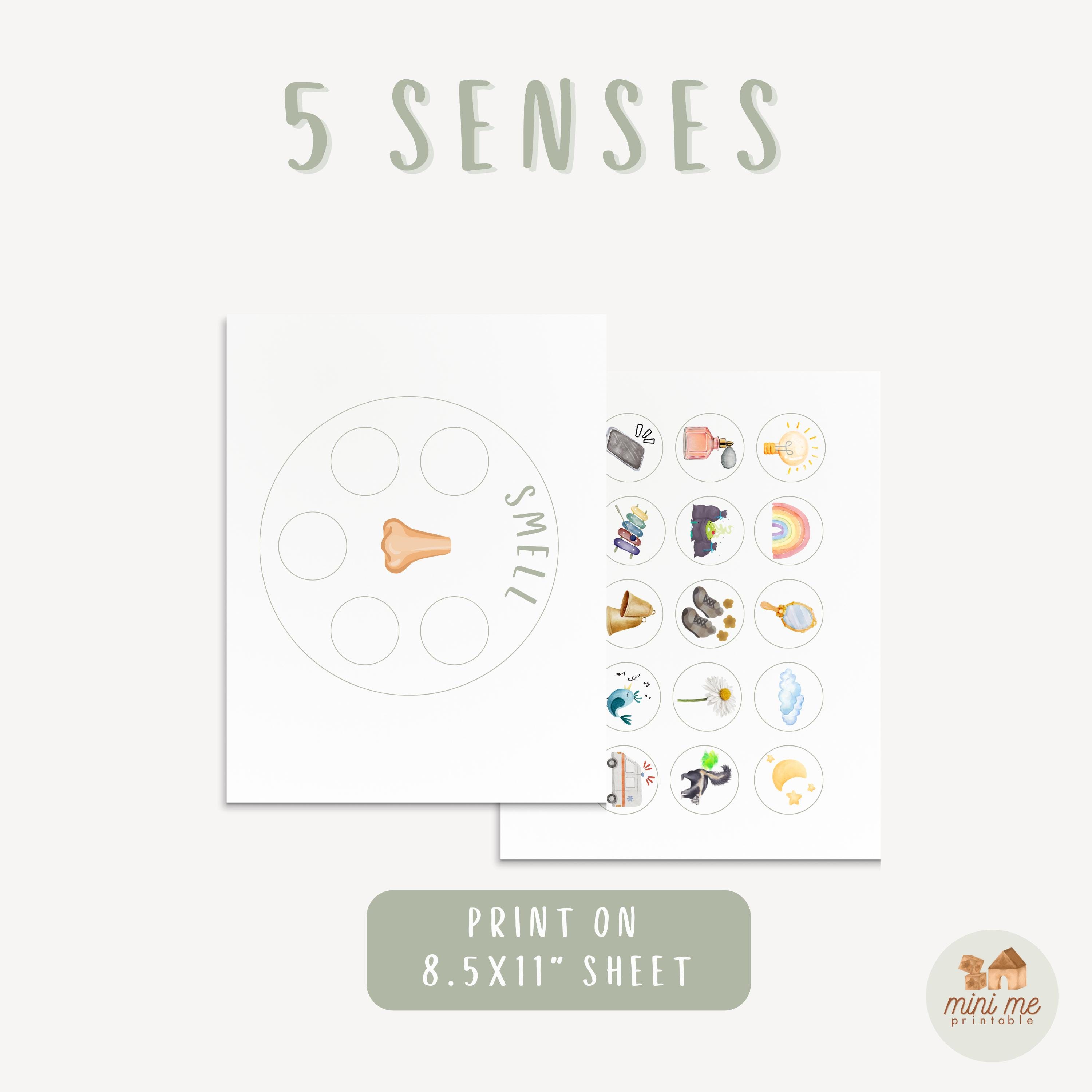 Five Senses Sorting Activity: Homeschool Resource for Toddlers (digital ...