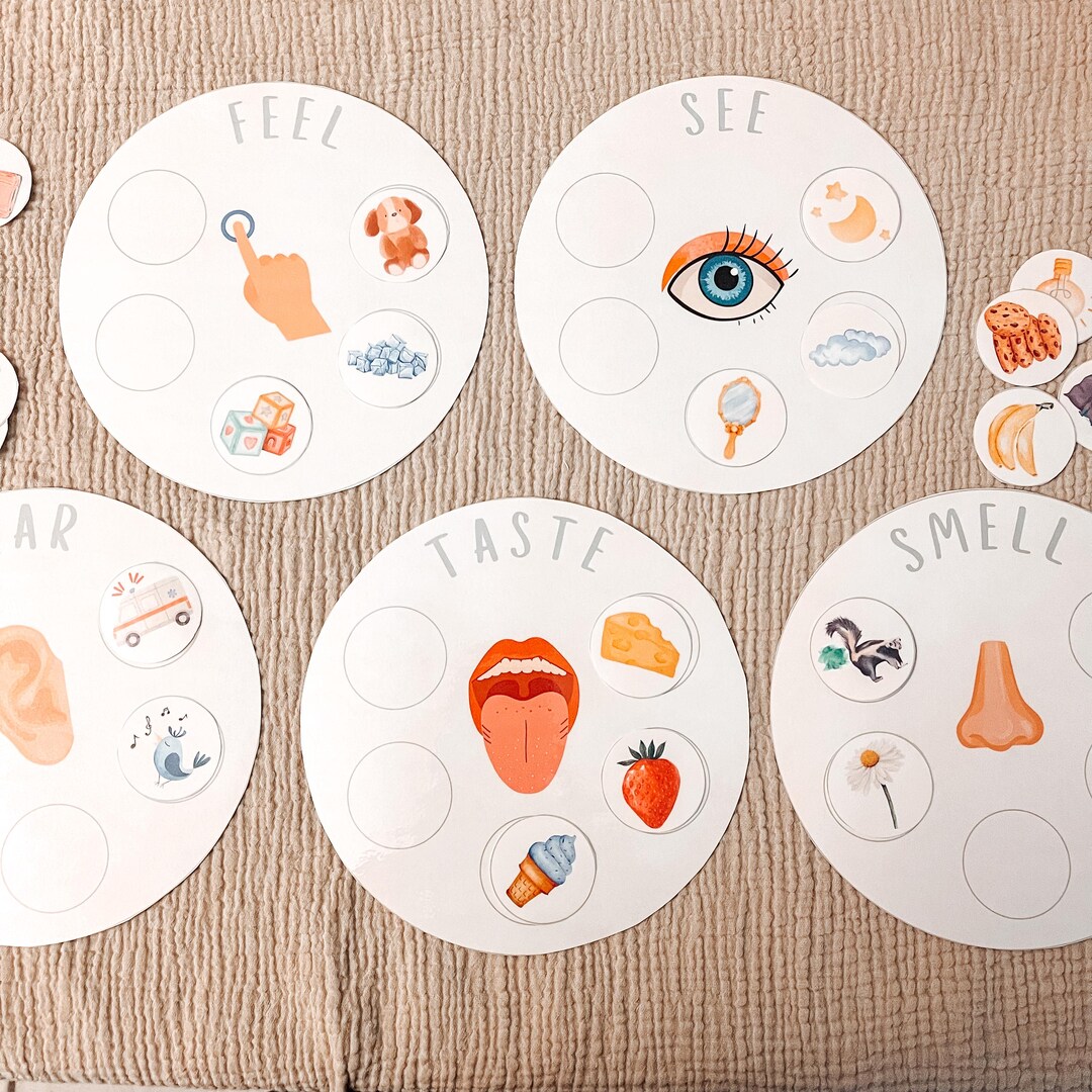 Five Senses Sorting Activity: Homeschool Resource for Toddlers (digital ...