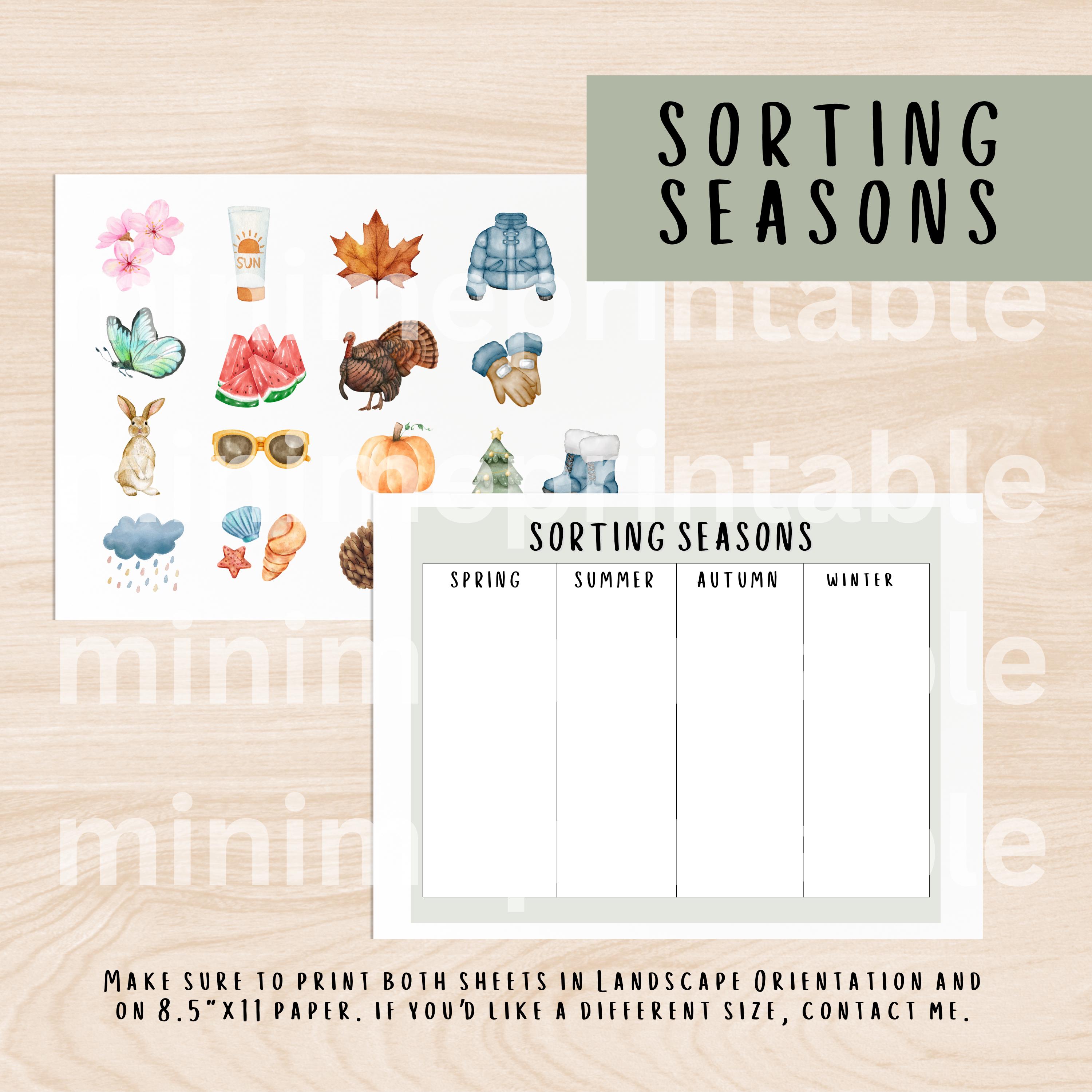 Match the Season, Seasons Printable, Circle Time, Seasons Sorting ...
