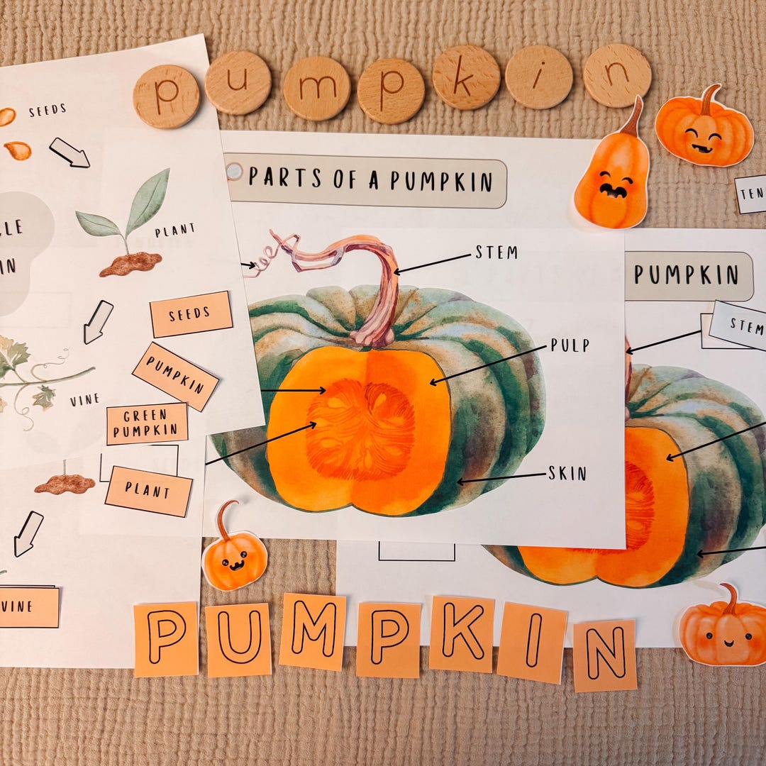 Pumpkin Homeschool Study Unit: Montessori Fall Learning Printables ...