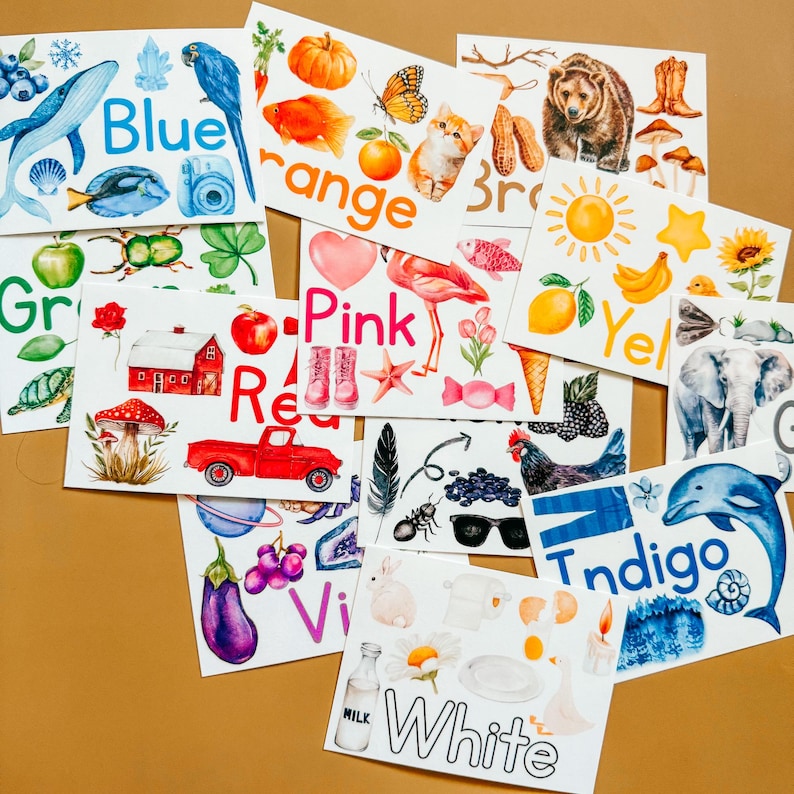 Large Color Recognition Flash Cards With Pictures, Montessori and Pre ...