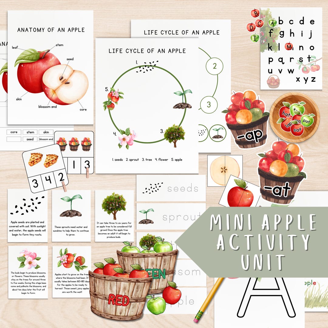 Apple Activity Study Unit: Montessori Learning Printable (digital ...