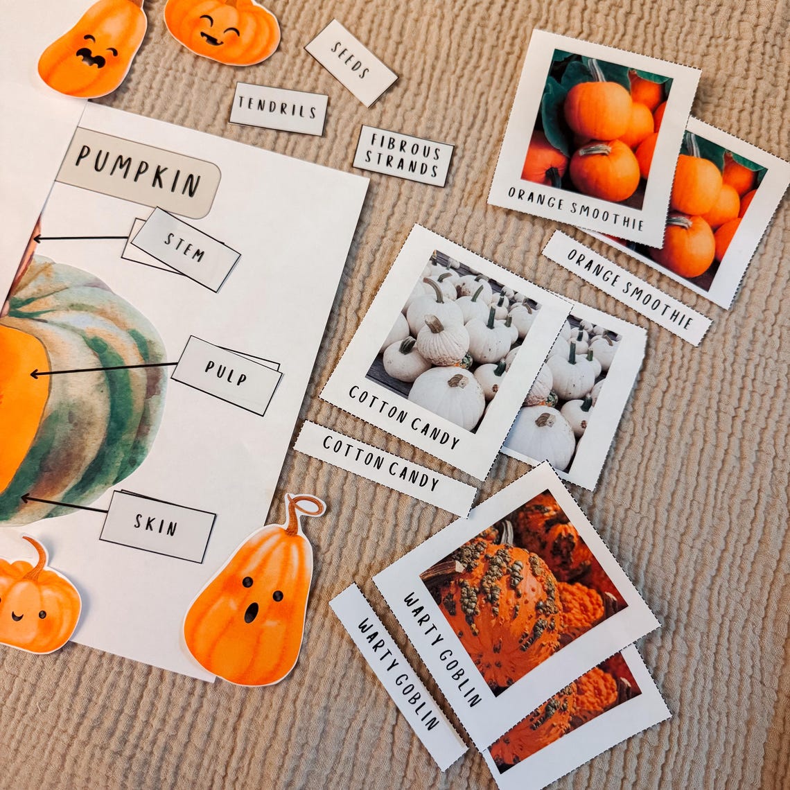 Mini Pumpkin Homeschool Study Unit for Fall and Autumn, Montessori ...