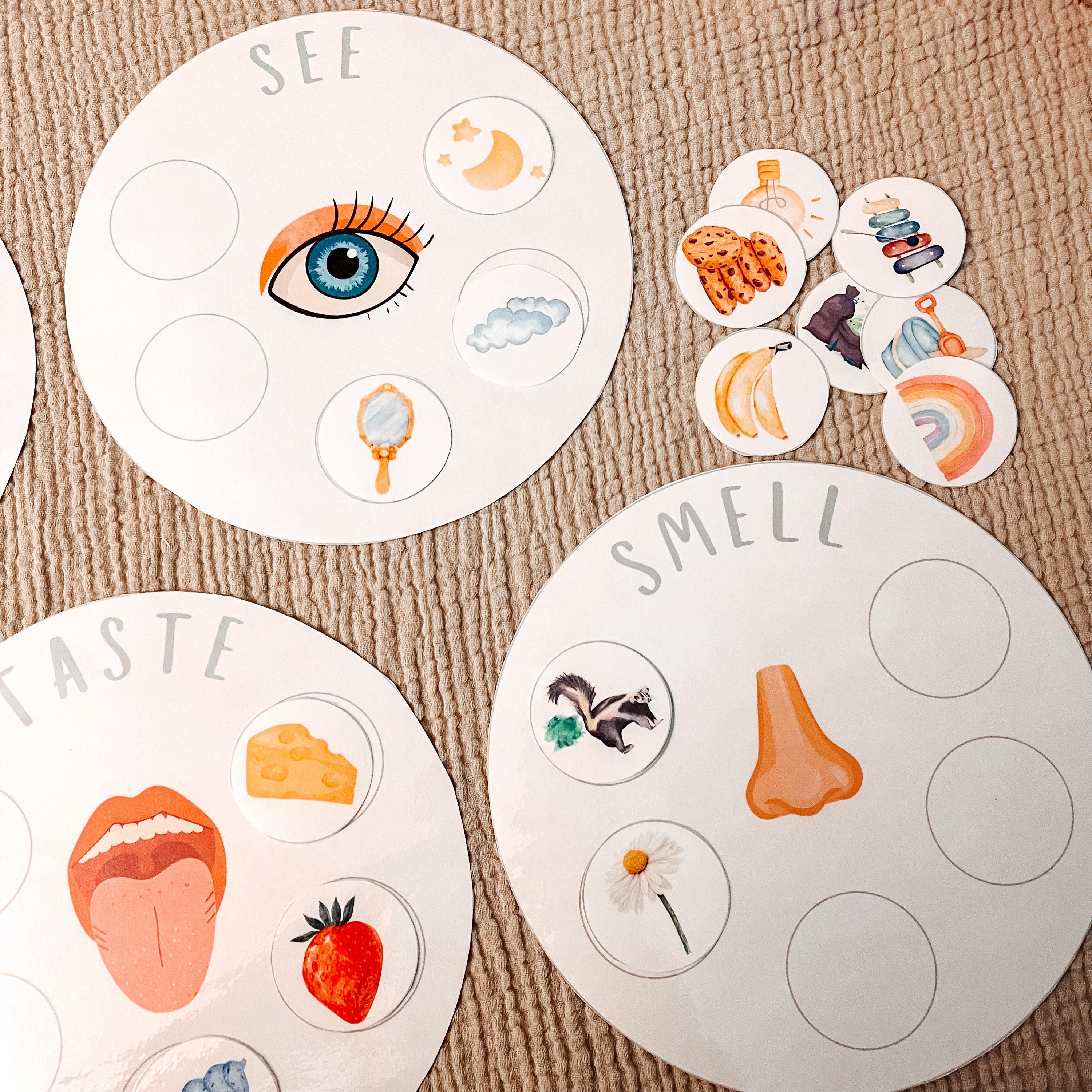 Five Senses Sorting Activity: Homeschool Resource for Toddlers (digital ...