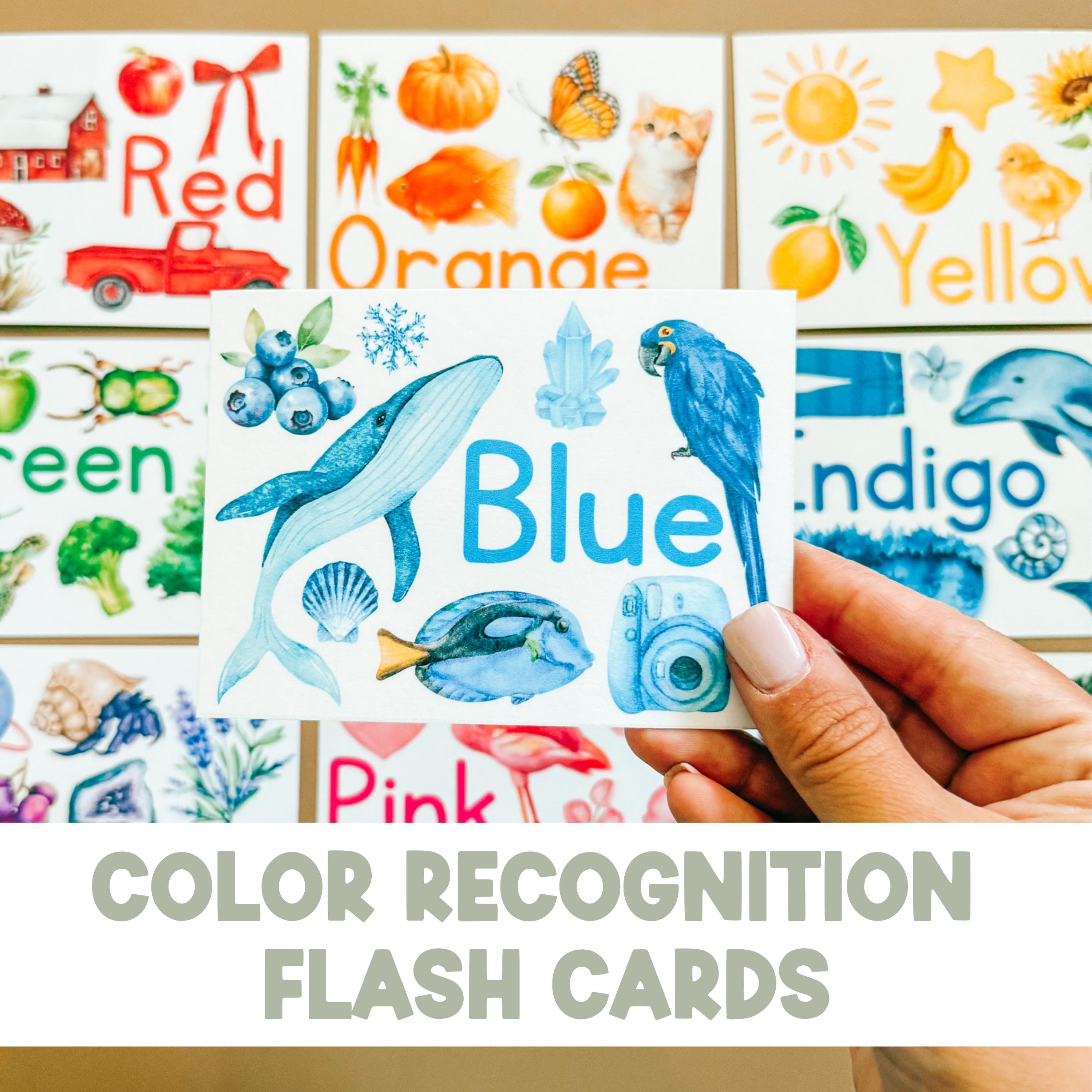 Large Color Recognition Flash Cards With Pictures, Montessori and Pre ...