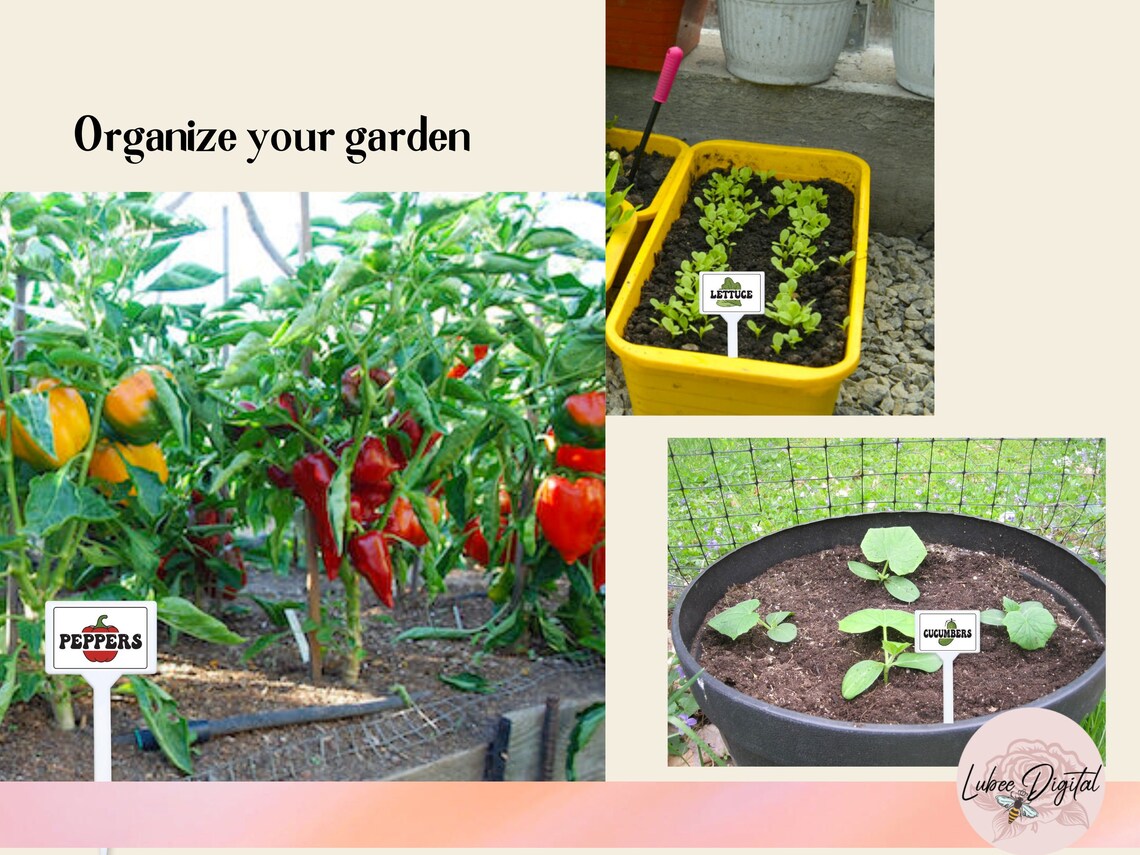 Printable Garden Label Markers,garden Pick Labels,plant Stakes Label ...