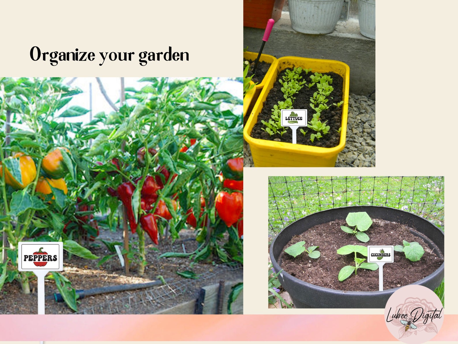 Printable Garden Label Markers,garden Pick Labels,plant Stakes Label ...