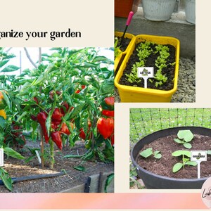 Printable Garden Label Markers,garden Pick Labels,plant Stakes Label ...