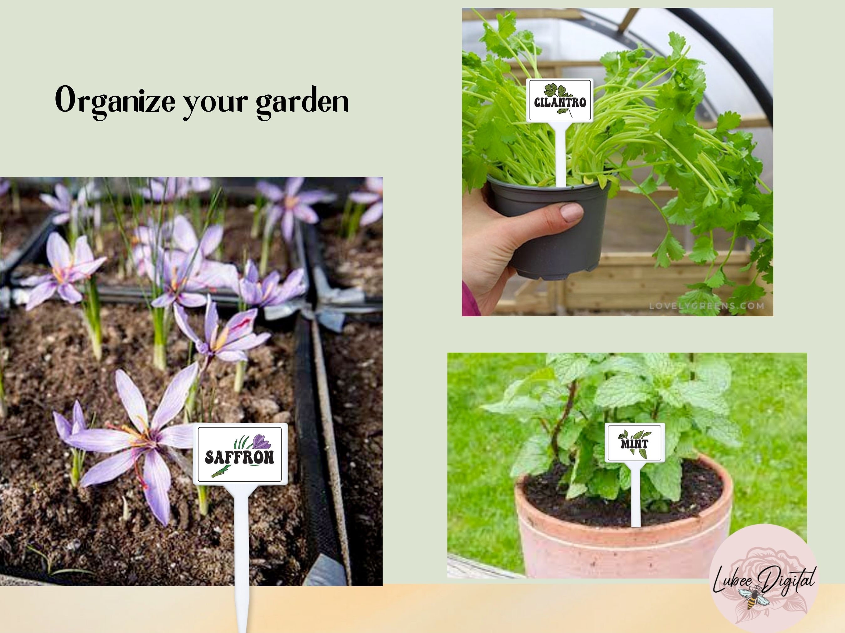 Printable Herbs Vegetables Garden Label Markers,plant Stakes Label ...