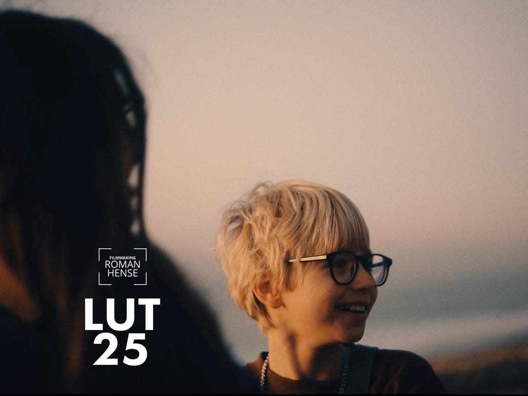 Cinematic LUT-25 HENSE - Etsy