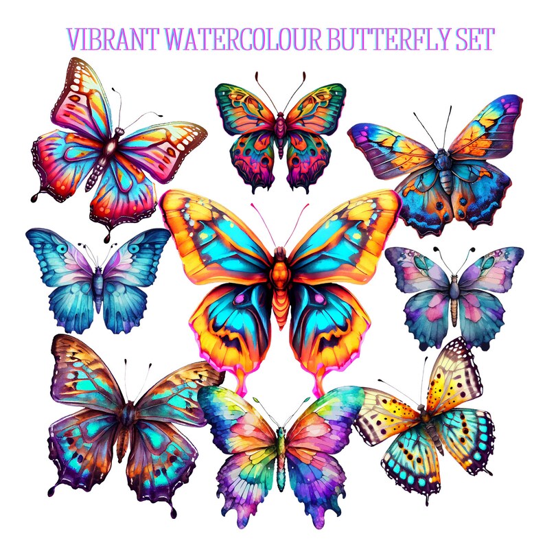 Colorful Watercolor Butterfly Clip Art Bundle Vibrant - Etsy
