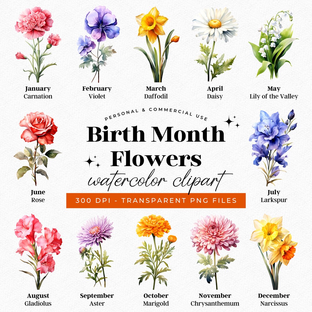 Birth Month Flowers Clipart, Watercolor Floral PNG Graphics Set, Family ...