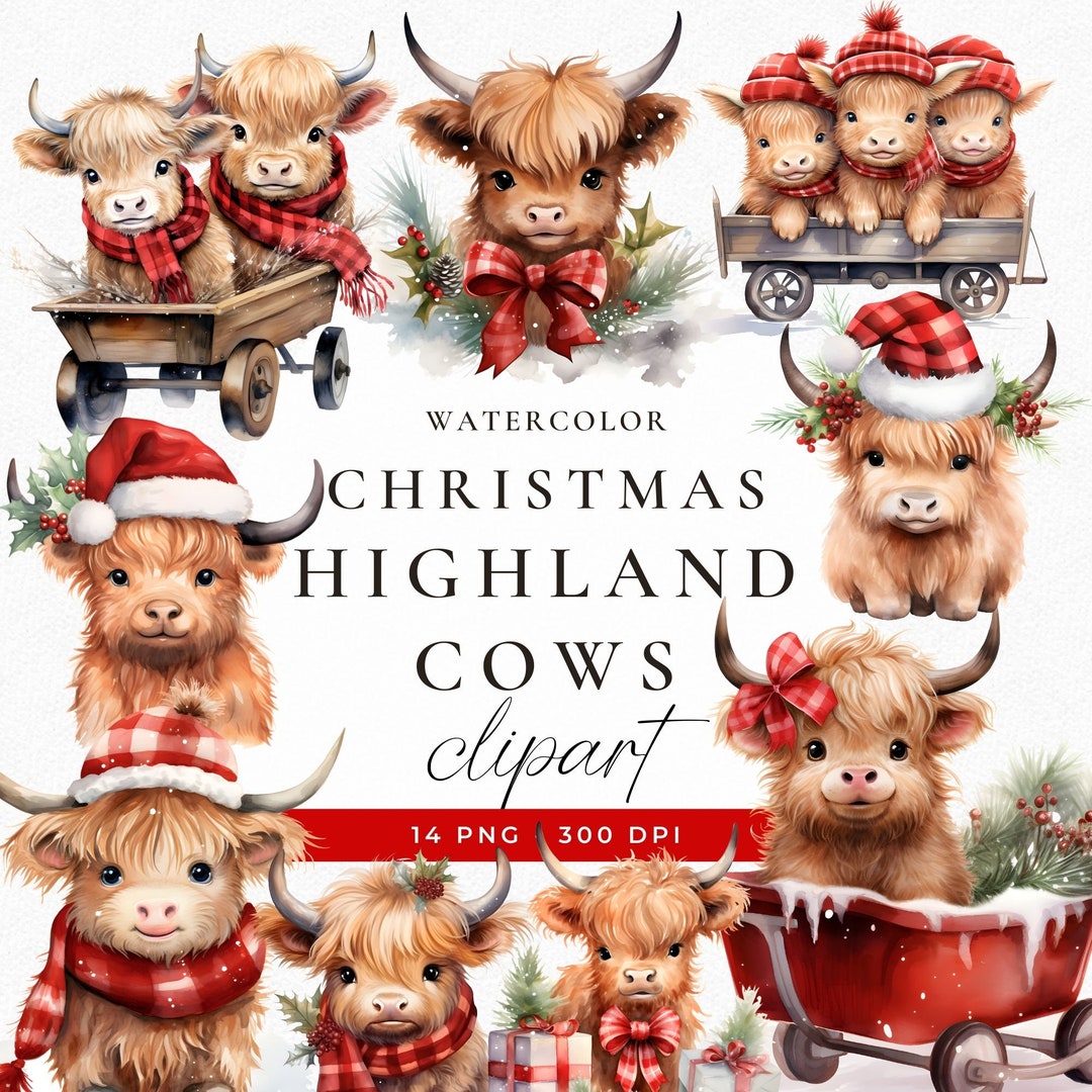 Christmas Baby Highland Cow PNG Clipart Watercolor Cute Highland Cow ...