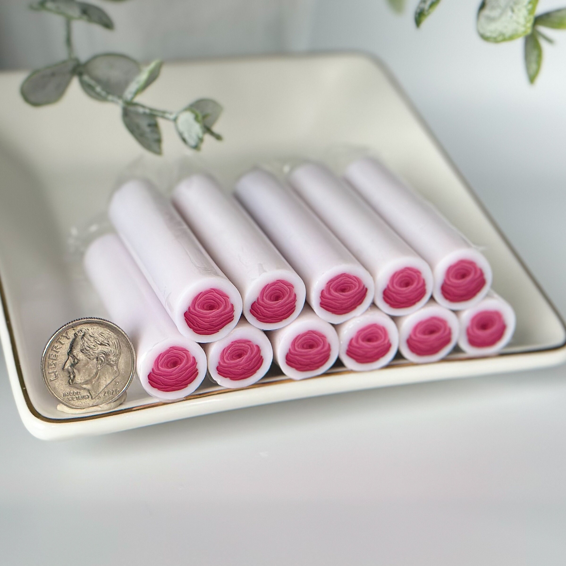 Dark Pink Cabbage Heirloom Rose Cane, Translucent Background, Unbaked ...