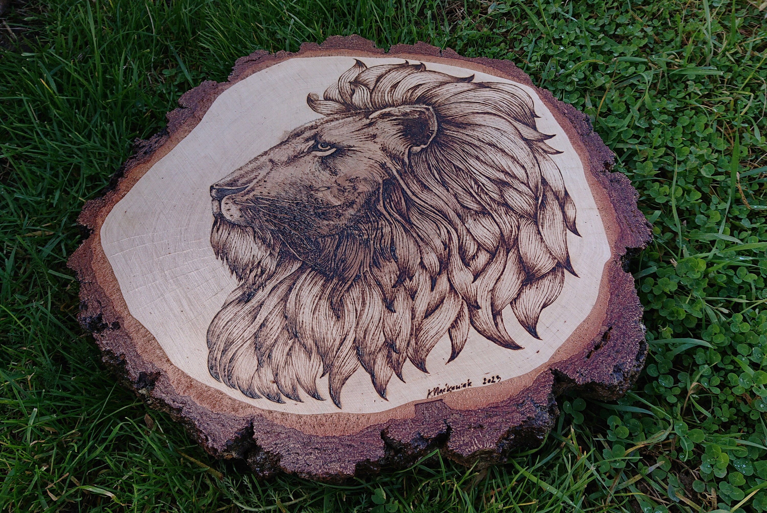 Portrait of a Lion/ Woodburning Art Lion/ Custom Art Woodwork / Wild ...