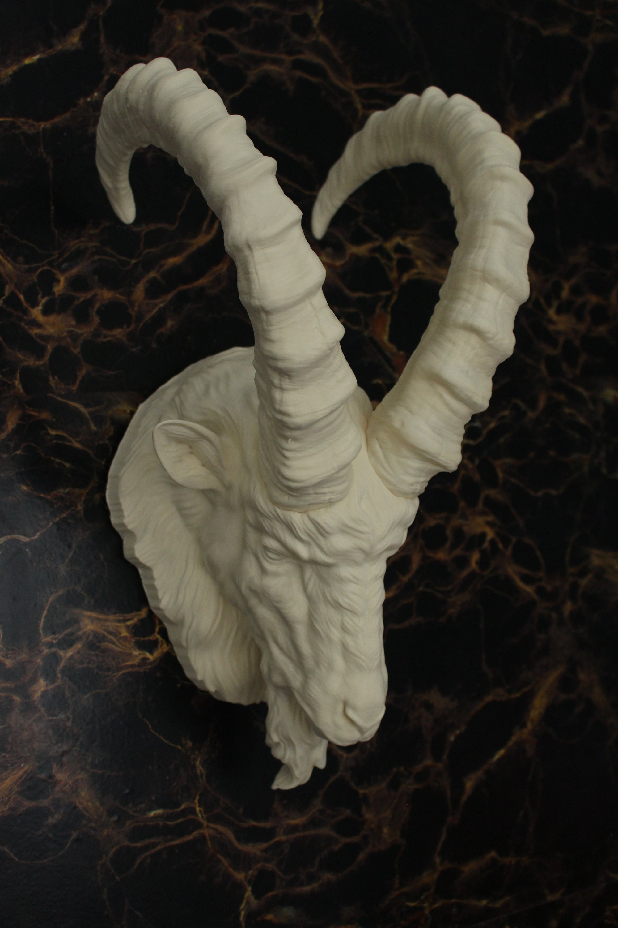 Big Mountain Goat Wall Bust With Lightanimal Head Lamp Goat - Etsy UK