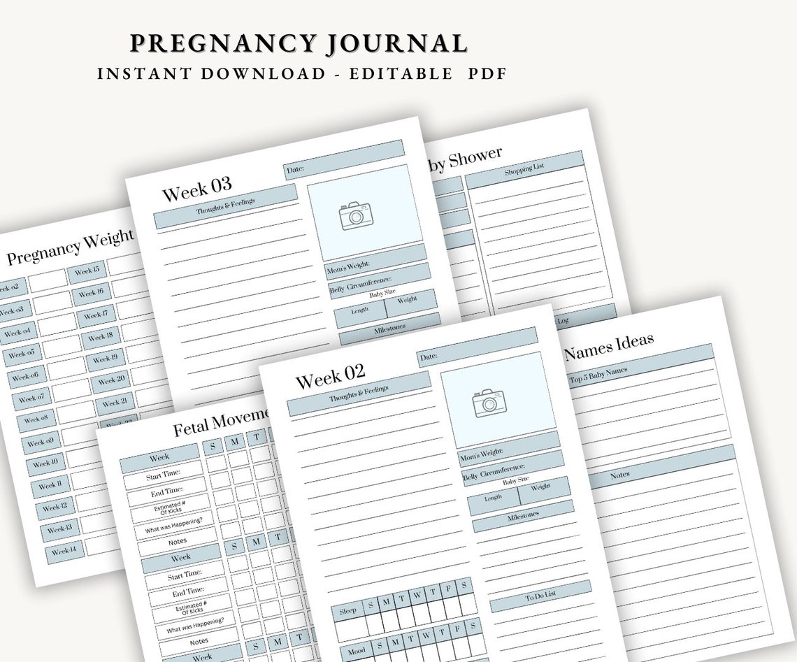 Printable Pregnancy Planner Pregnancy Journal, Baby Memory Book ...