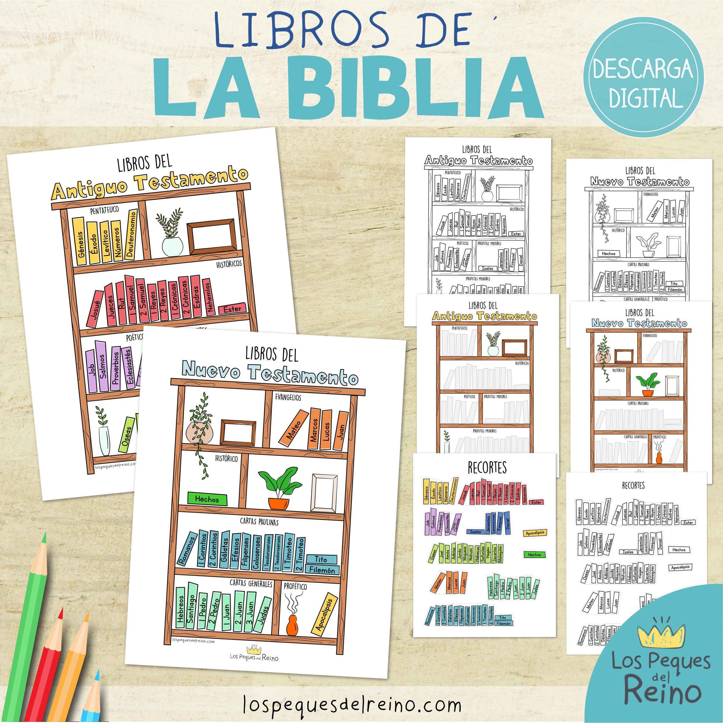 Libros De La Biblia - Etsy