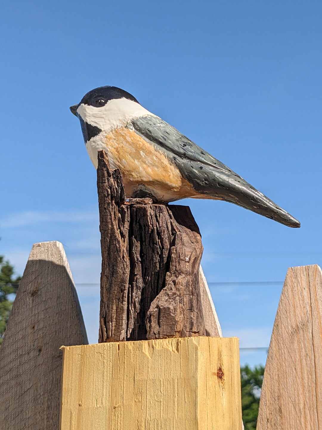 Maine Chickadee black-capped Chickadee Wood Carving - Etsy